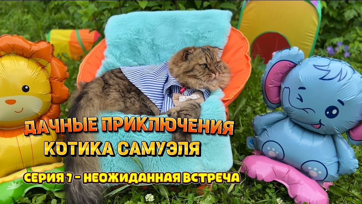 НЕОЖИДАННАЯ ВСТРЕЧА🌲 - 7 серия. Дачные приключения котика Самуэля😸