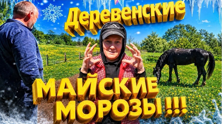 ДЕРЕВЕНСКИЕ МАЙСКИЕ МОРОЗЫ | Дом в деревне | Деревенская жизнь