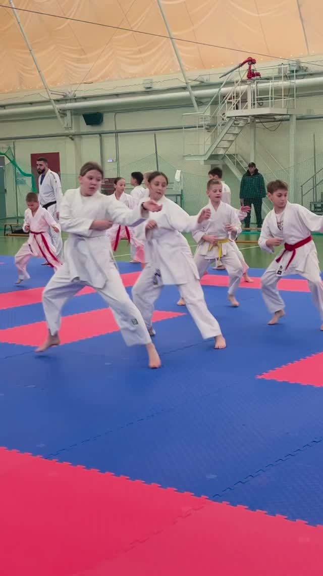 Семинар Руслана Кафланова #каратэ #wkf