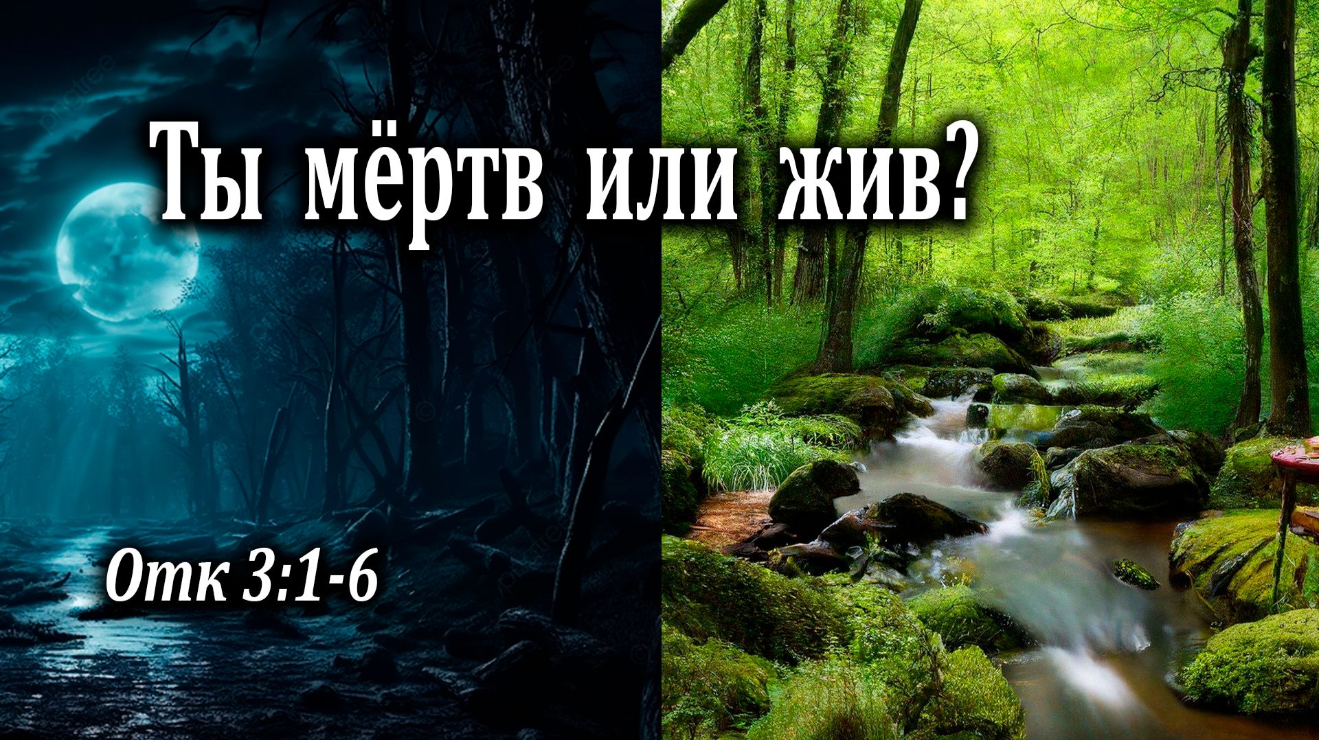 25.08.2024 "Ты мёртв или жив?" Отк 3:1-6 Кудрявцев Юрий