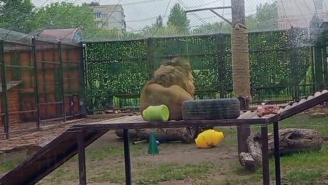 WZOC9885-11.05.2026 Видео от Ивана