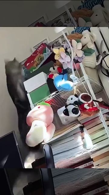 Кошачьи проделки: самые уморительные моменты с пушистыми хулиганами! 😂🐱