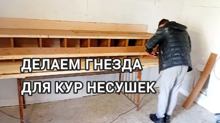 ГНЕЗДА ДЛЯ КУР НЕСУШЕК С ЯЙЦЕСБОРНИКОМ: ПРОСТО И СВОИМИ РУКАМИ