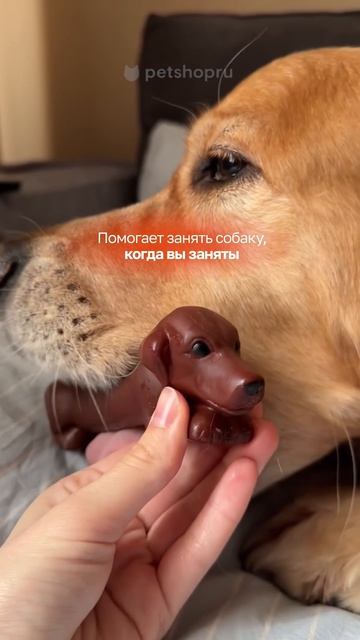 Обзор: PETSHOP Игрушка для собак"Чистые зубы", резиновая косточка (арт. 66323)