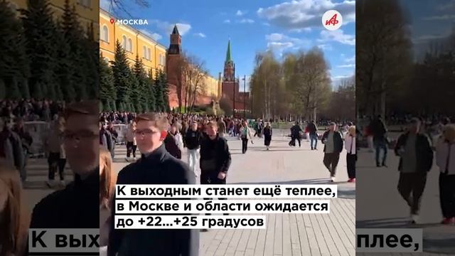 Тепло возвращается. С 13 мая москвичей порадует почти летняя погода