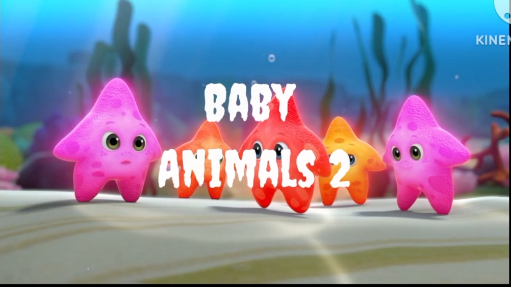 Cuties Animals Babys.