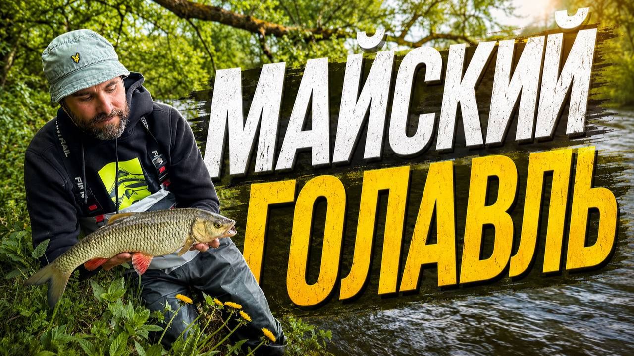 Охота за майским голавлем в Тульской и Липецкой области.