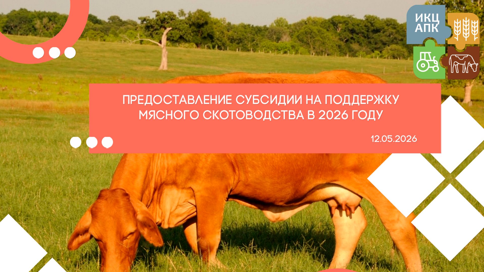 Запись семинара от 12 мая 2026 года