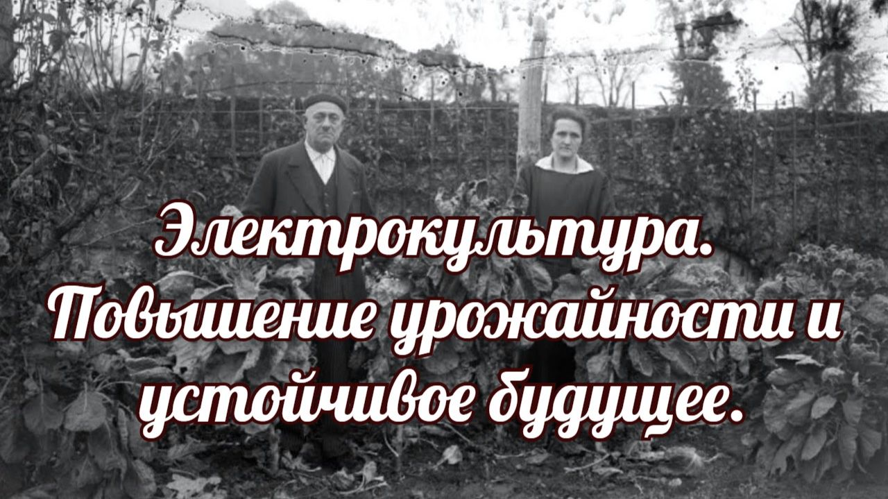 Электрокультура. Повышение урожайности и устойчивое будущее.