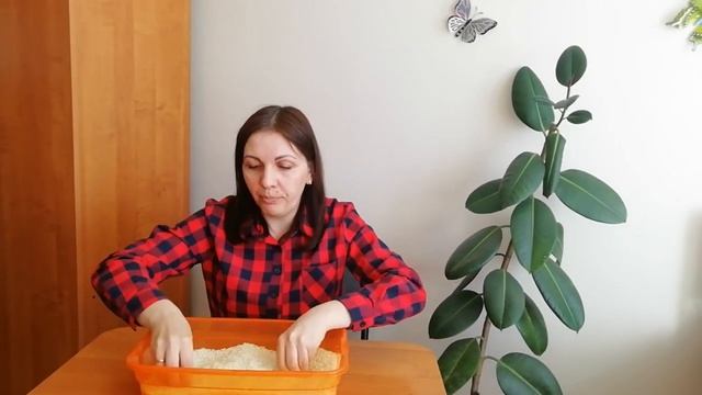 РАЗВИТИЕ МЕЛКОЙ МОТОРИКИ