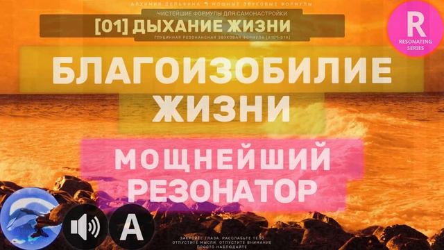 R01🐬 Музыка Благоизобилия Жизни 🔊 Мощнейший Резонатор
