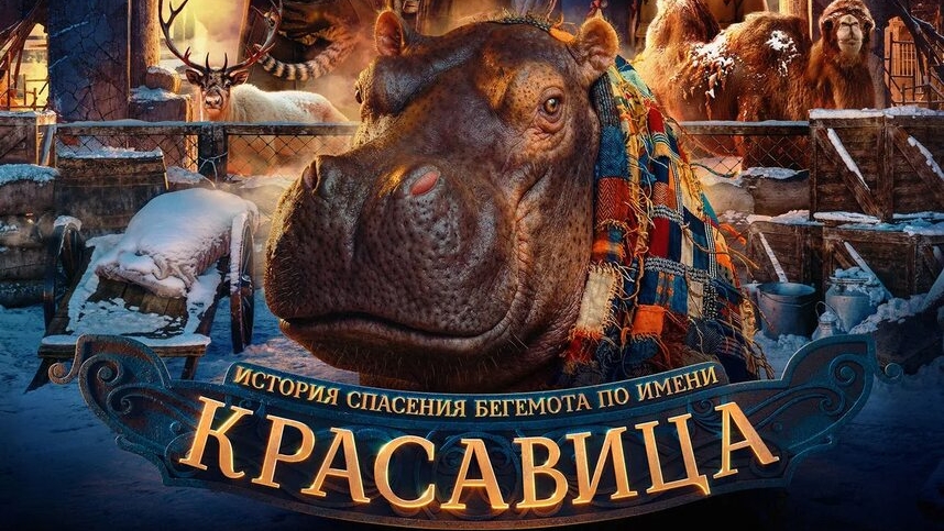 КРАСАВИЦА 2026 Драма Военный Сказка Смотрим онлайн Обзор Отзыв Рецензия Самопознание через кино