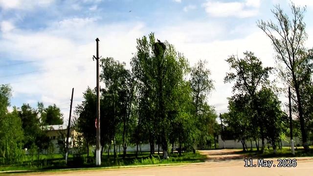 Беково Аисты .