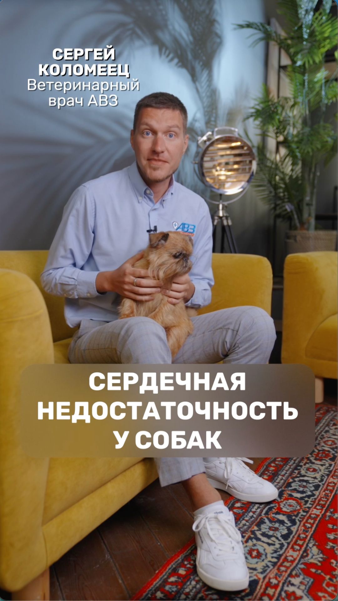Сердечная недостаточность у собак