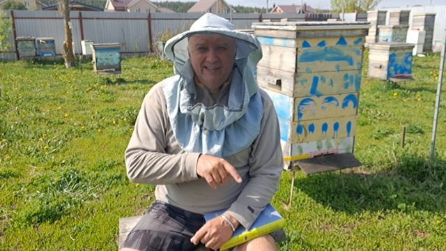 Какие матки лучше роевые или свищевые? Как выбрать лучший маточник?