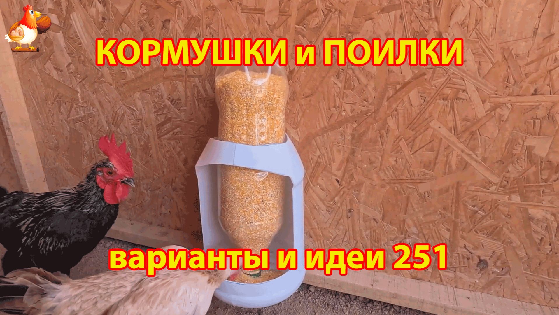 Кормушки и поилки для кур своими руками 251 🪚✂️ Пошаговая инструкция как сделать 🐔 🐓❣️