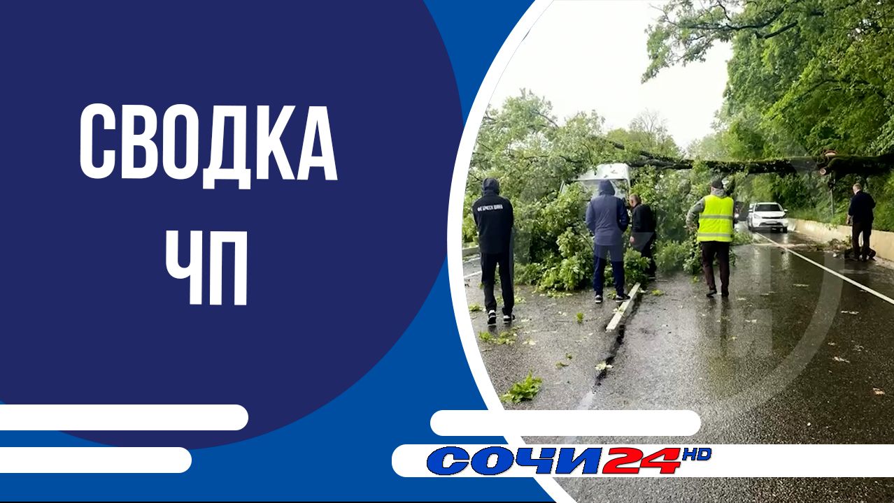 Сводка ЧП