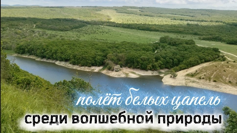 Продолжение маршрута и полёт стаи белых цапель