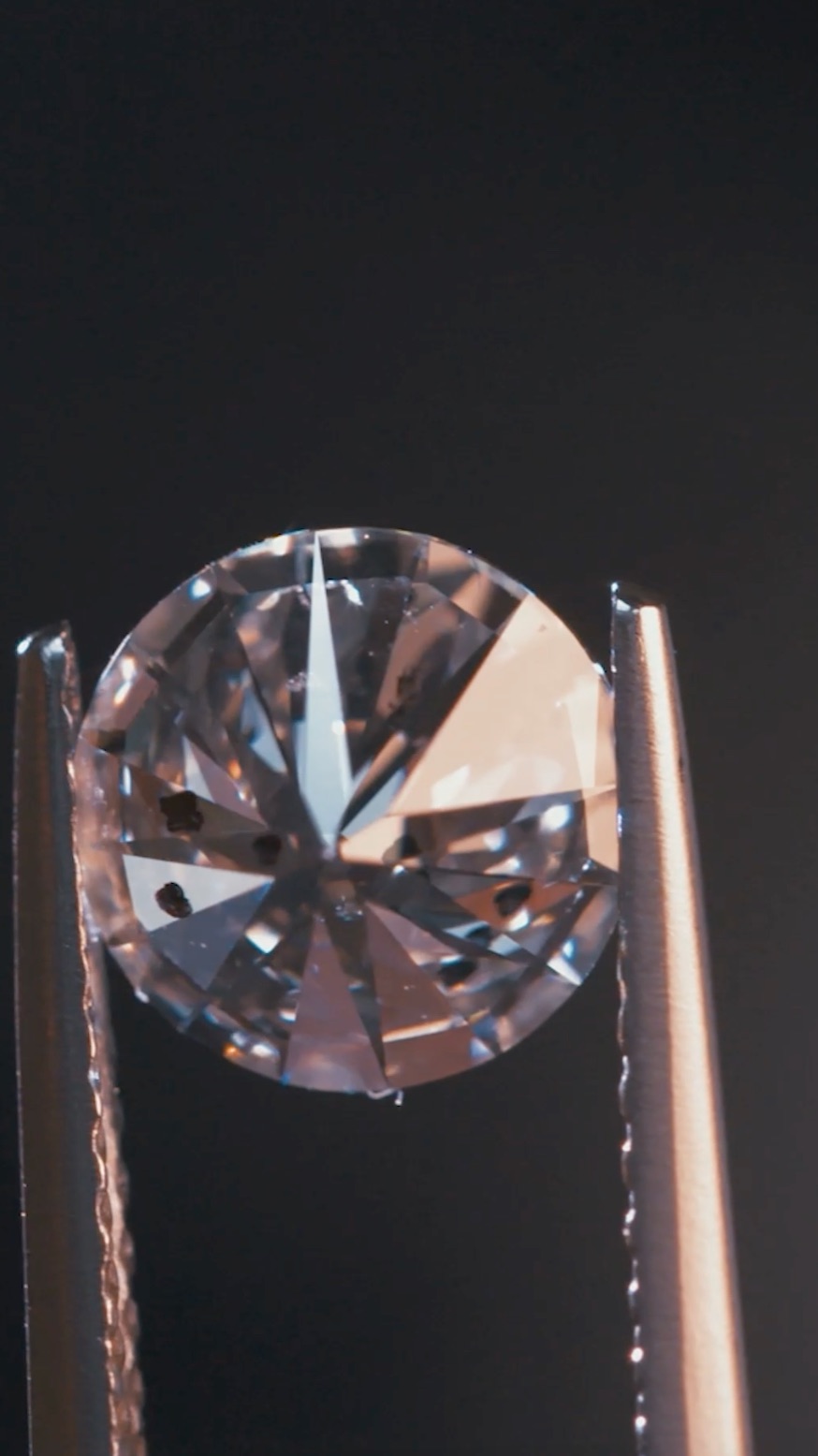 😳💎 Ворон украл АЛМАЗЫ