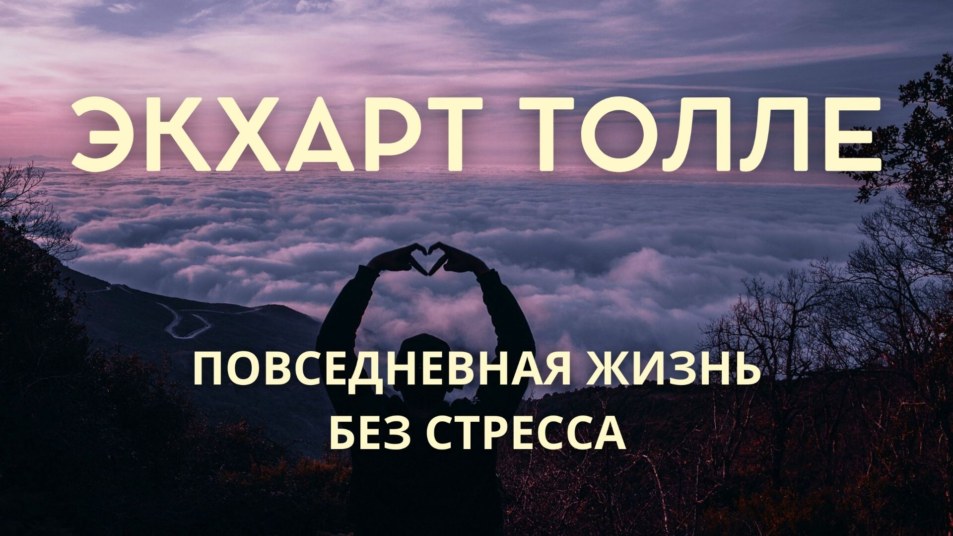 Покой в хаосе: как быть, а не бороться. Экхарт Толле
