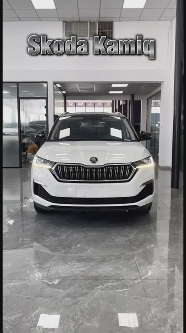 Skoda Kamiq