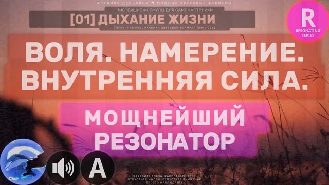 R02🐬 Пробуждение Воли, Намерения и Внутренней Силы 🔊 Мощнейший Резонатор