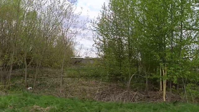 Путешествие по России Дорога Ярославль