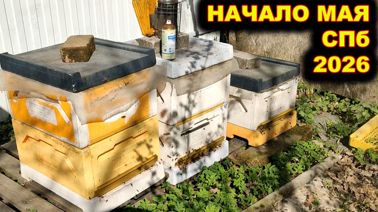 Начало мая на пасеке, Спб. 2026г. Весенние работы.
