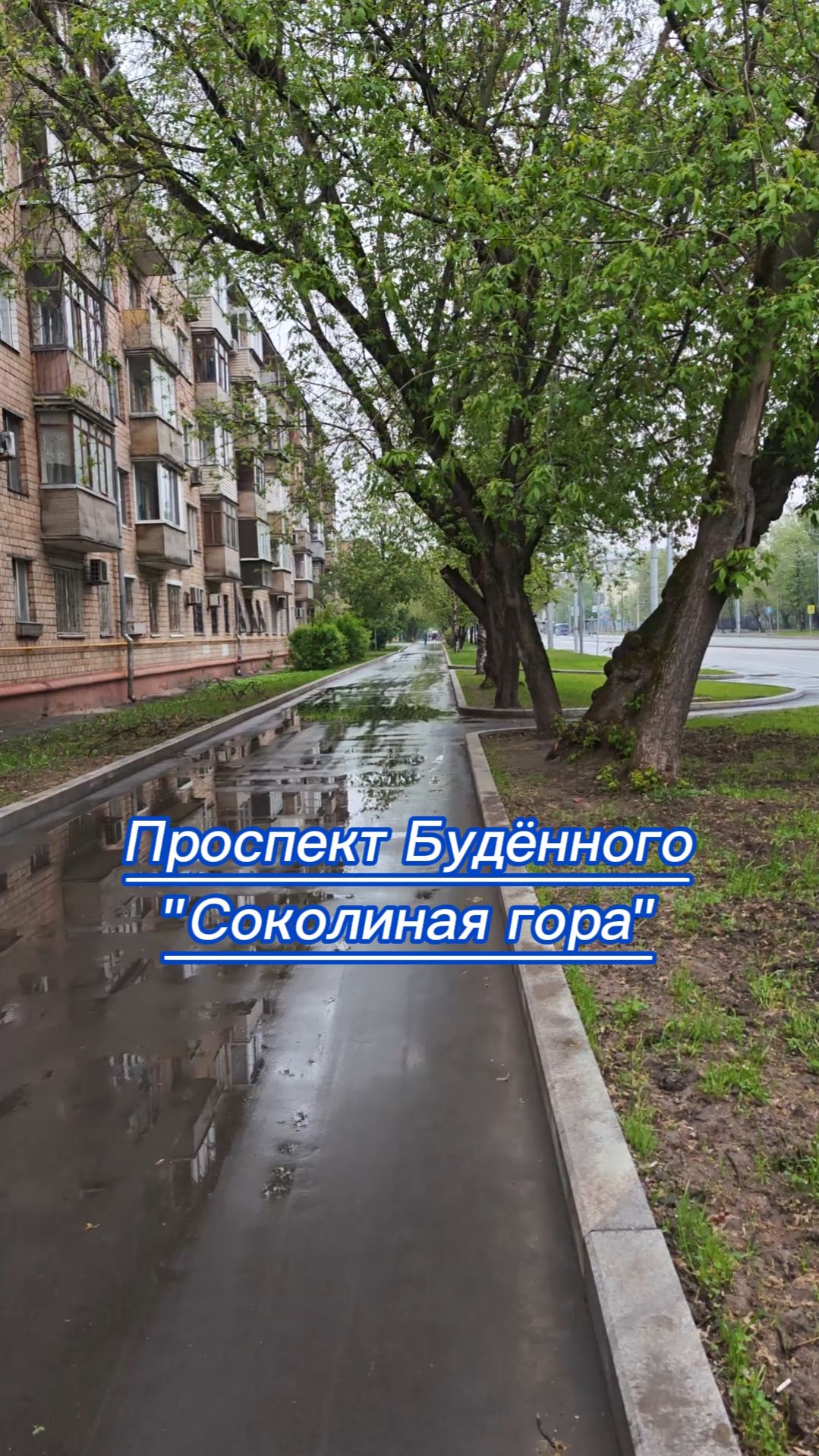 Проспект Будённого в районе "Соколиная гора"
