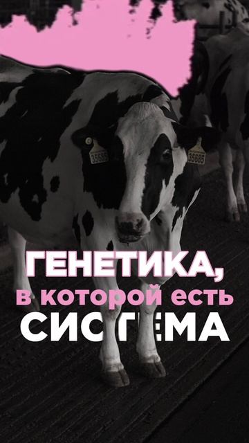 Генетика, которая окупается: считаем выгоду в цифрах