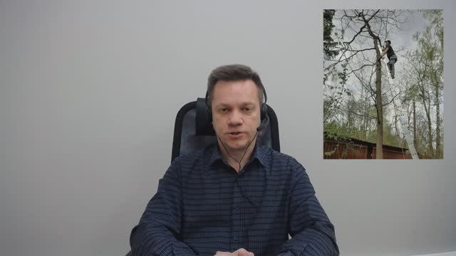 Опилка сучьев