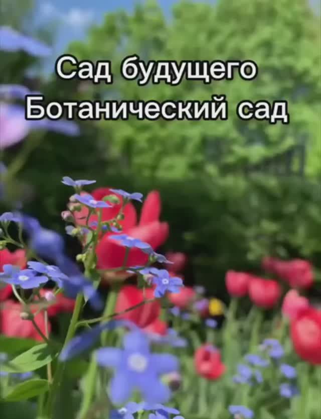 Парк будущего. Весна, цветы. Любовь! #парк #весна #парк будущего #ботаническийсад