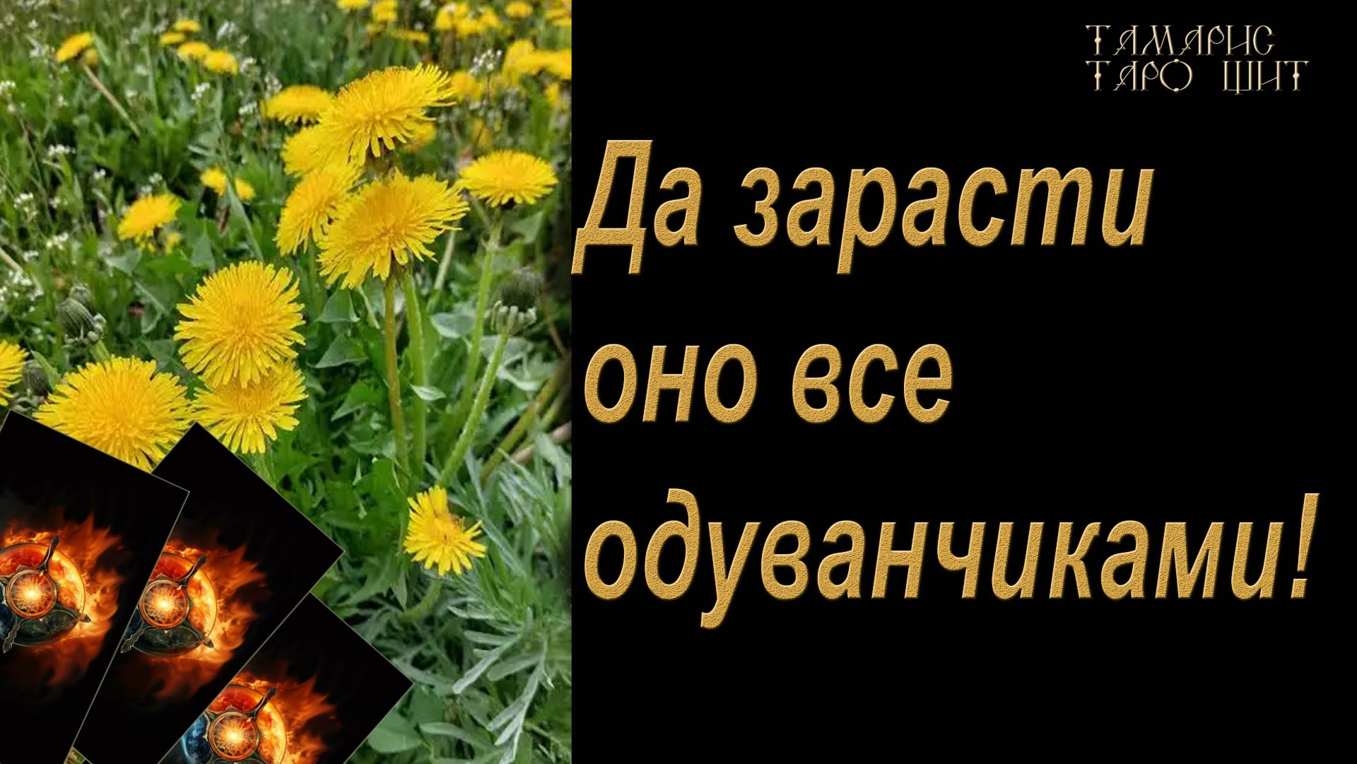 Да зарасти оно все одуванчиками!🔥 🔮 🔥 #таро#russian#tarot#gadanie#онлайн#расклады