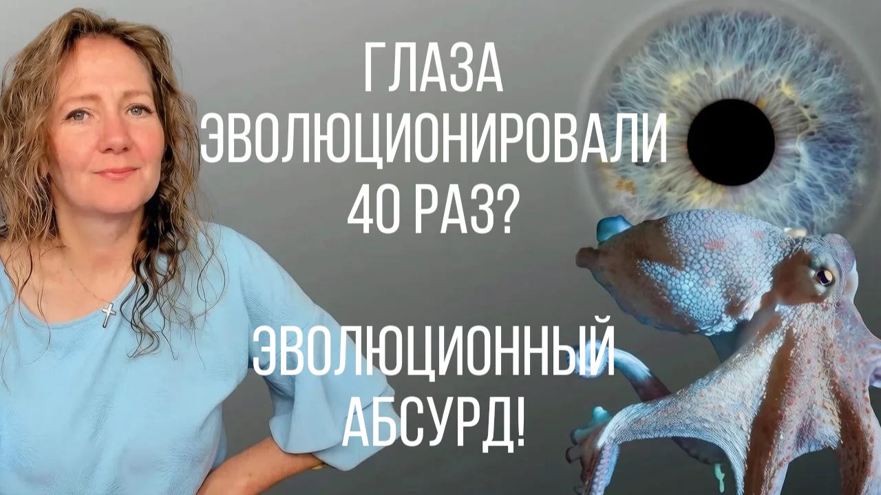 Как эволюционировали глаза? Эволюционный абсурд