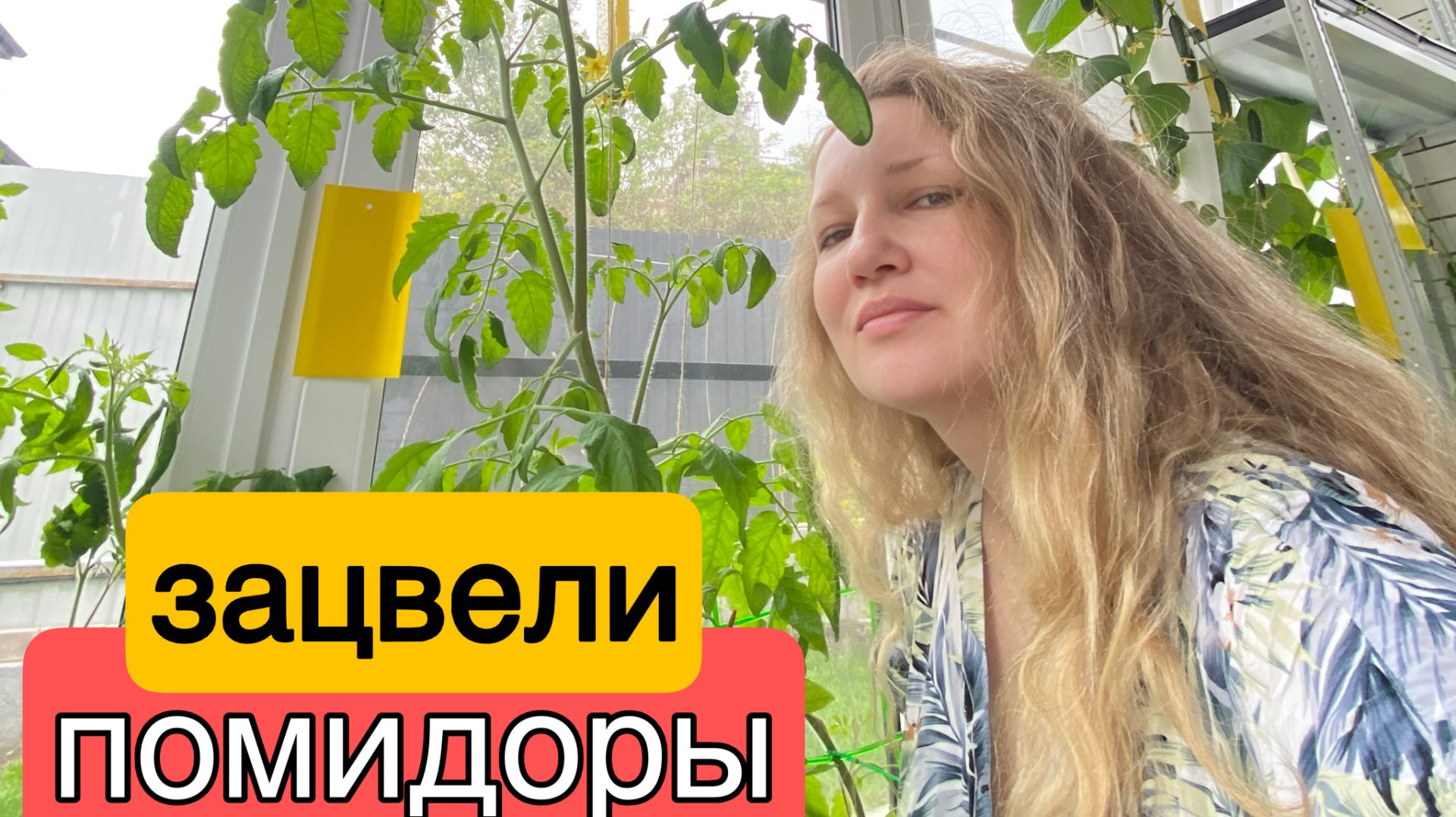 ВЛОГ ! Готовлюсь к лету ! Покрасил мангал и помыл окна !