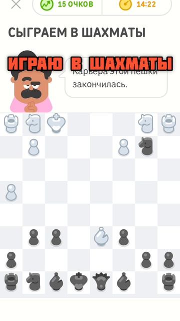 Шах и мат !