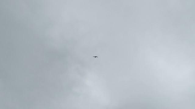 Реконструкция 09.05.2026 -6
