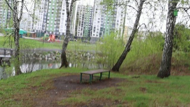 Ручей Суховский - чуть уточек) Кемерово