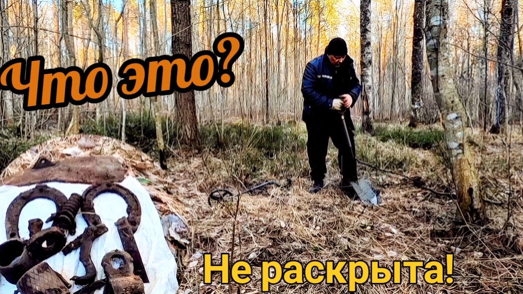 Тайна лесной поляны - что же тут произошло? коп металлолома