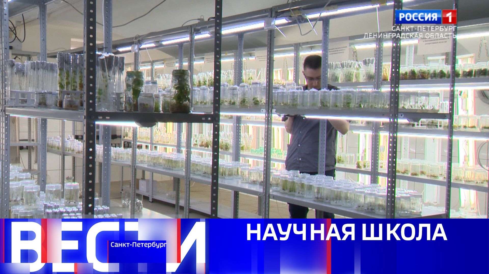 Вести Санкт-Петербург. Выпуск 11.30 от 13.05.2026