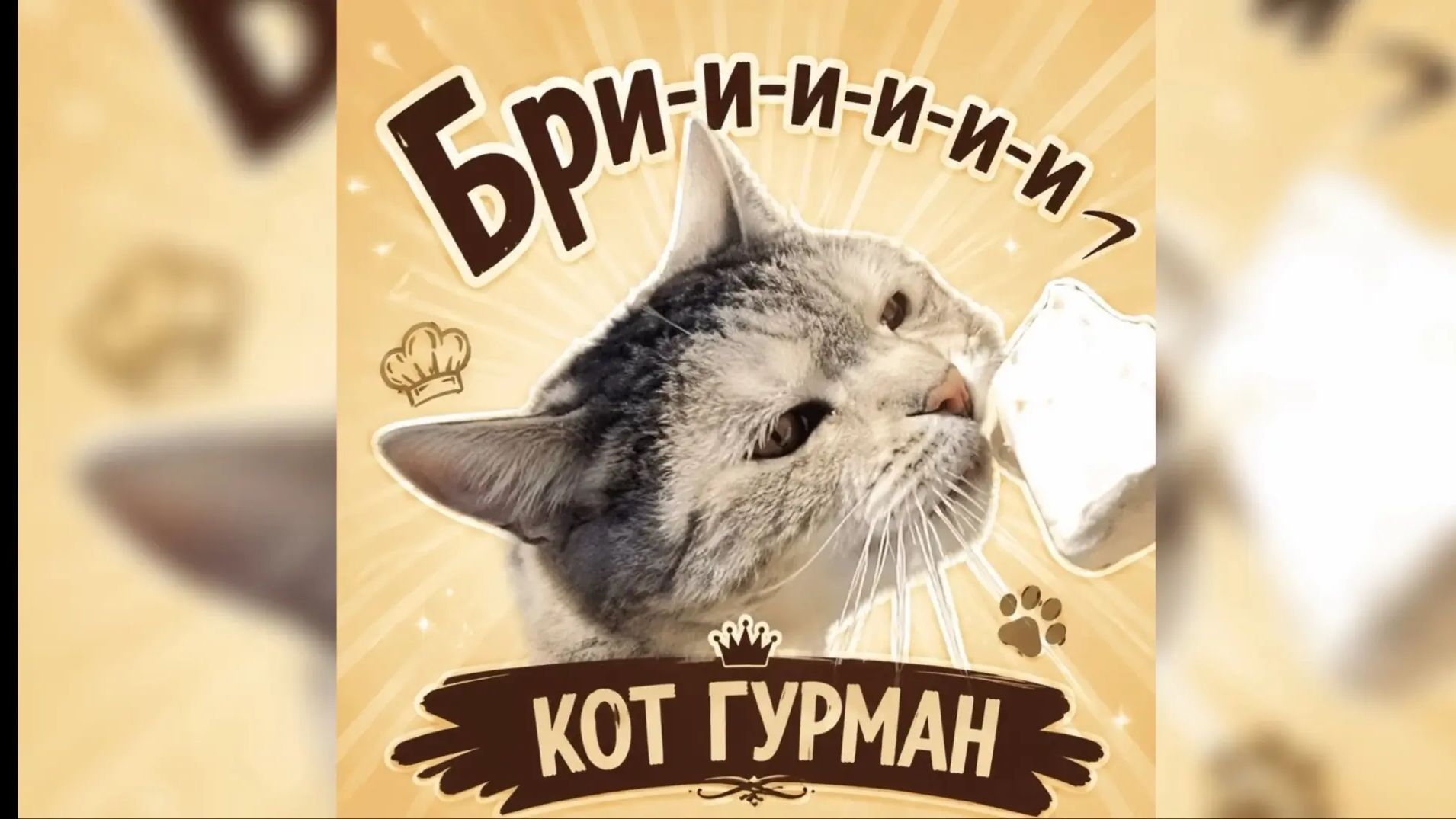 Кот гурман