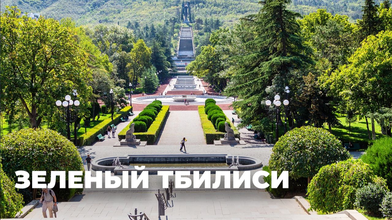 Как в Тбилиси ухаживают за растениями на улицах города