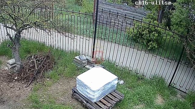 Нужно ли севастопольцам беспокоиться о сохранности своих самоваров и мобильных телефонов?