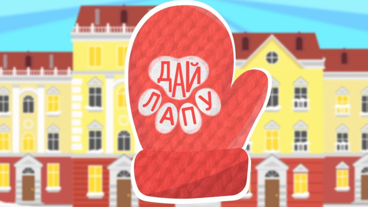 Дай лапу – 54 серия