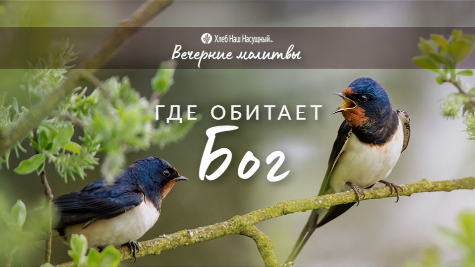 ГДЕ ОБИТАЕТ БОГ | Вечерние размышления