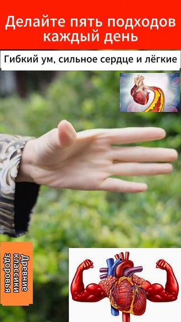 Упражнения на кисти для здоровья