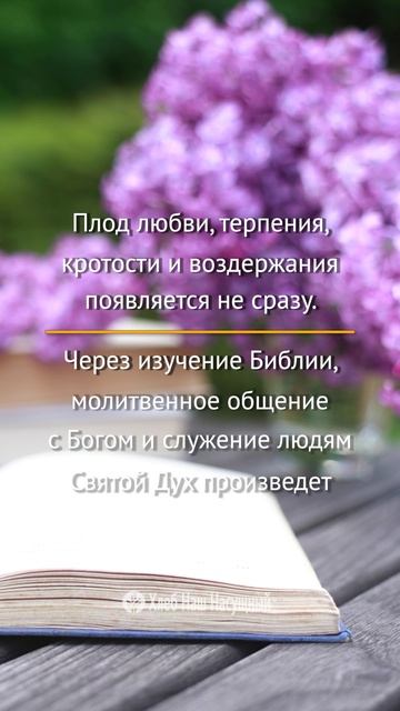 Божье Слово для вас...