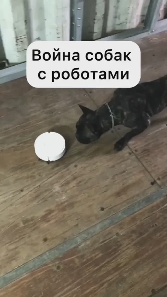 Сосед в помощь 🙌