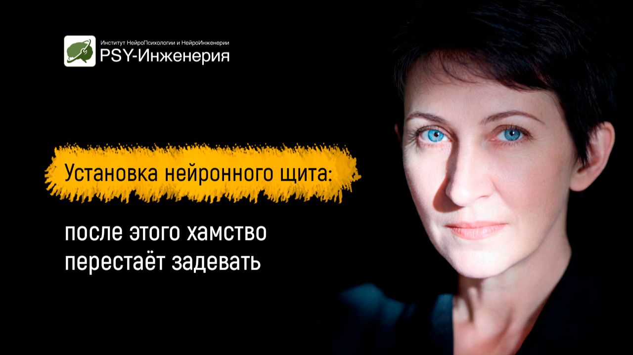 Установка нейронного щита: после этого хамство перестаёт задевать