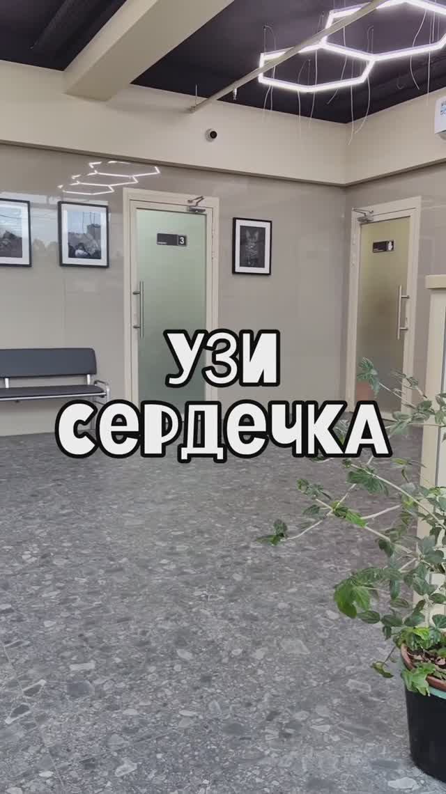 УЗИ сердечка